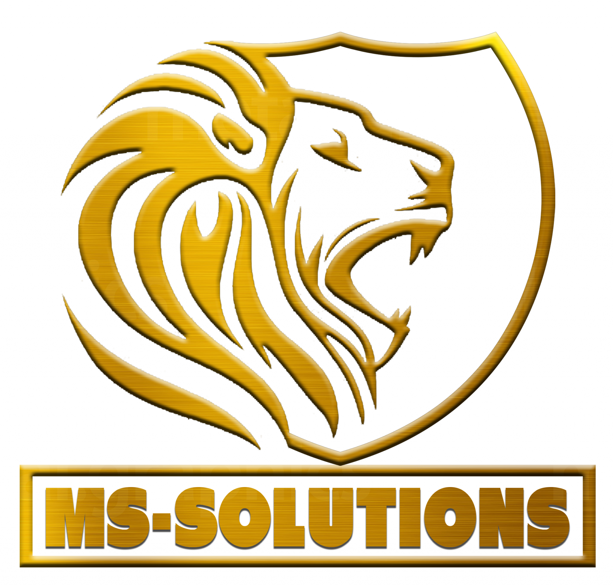 Approved Training Partners Near You – QMSAI